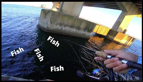 New DEKit Floor? Take Your Boat to These Top Attractions – DEKit Fort Myers
